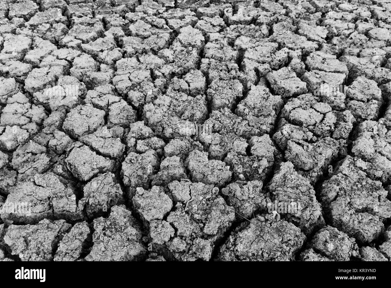 Humus soil Black and White Stock Photos & Images - Alamy