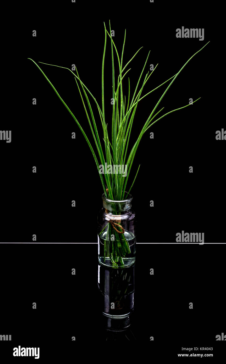 Bunch of fresh chives Stock Photo - Alamy