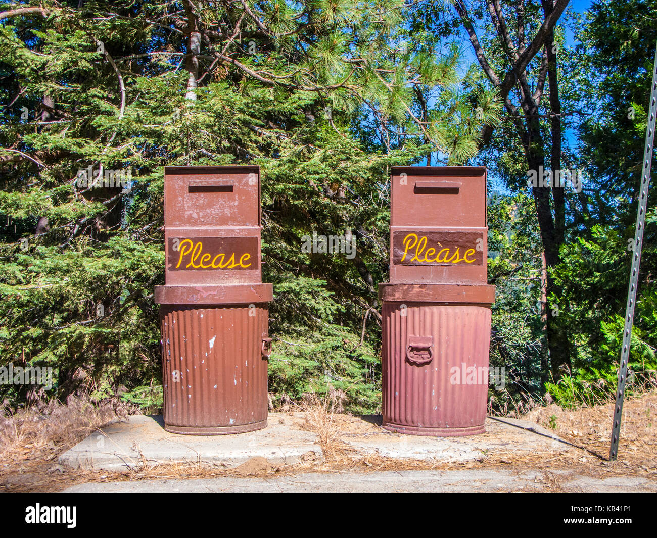 red litter boy in the sequoia national park Stock Photo - Alamy