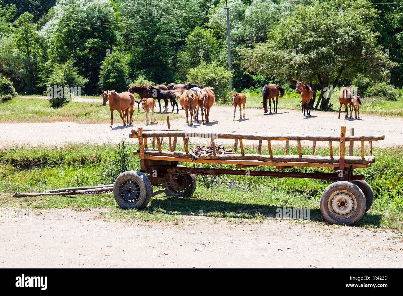 rural landscape with horses and wooden cart Stock Photo - Alamy