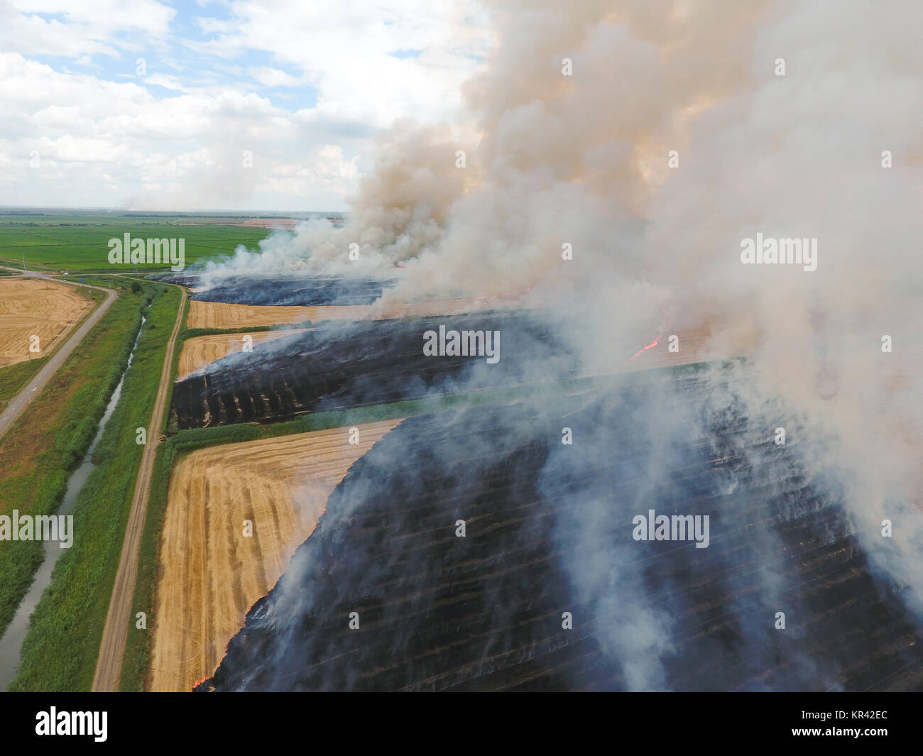 Burning straw in the fields of wheat after harvesting Stock Photo - Alamy
