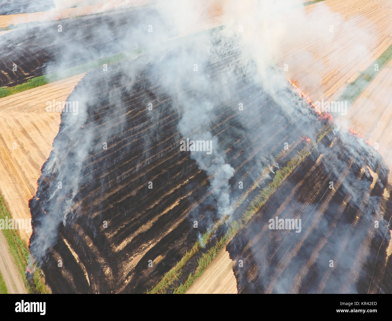 Straw burning up in fire hi-res stock photography and images - Alamy