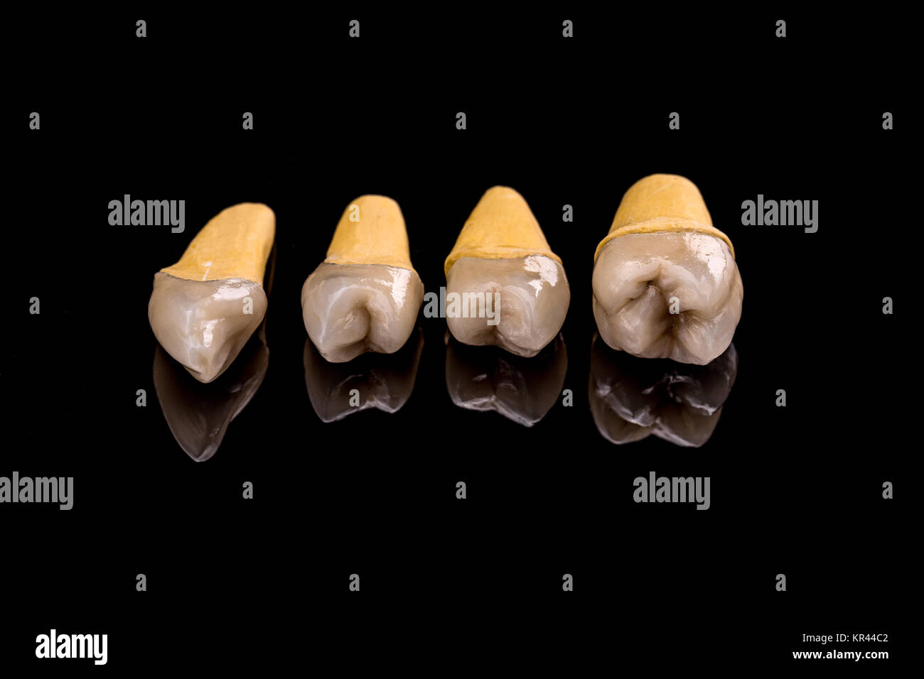 Jagged teeth hi-res stock photography and images - Alamy