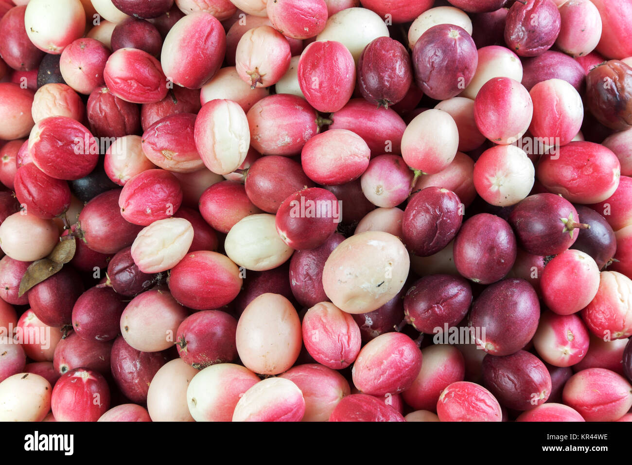 Karonda hi-res stock photography and images - Alamy