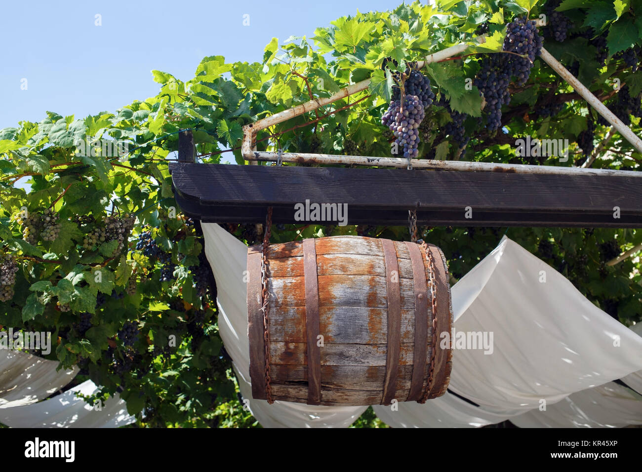 Barrel and grapes Stock Photo - Alamy