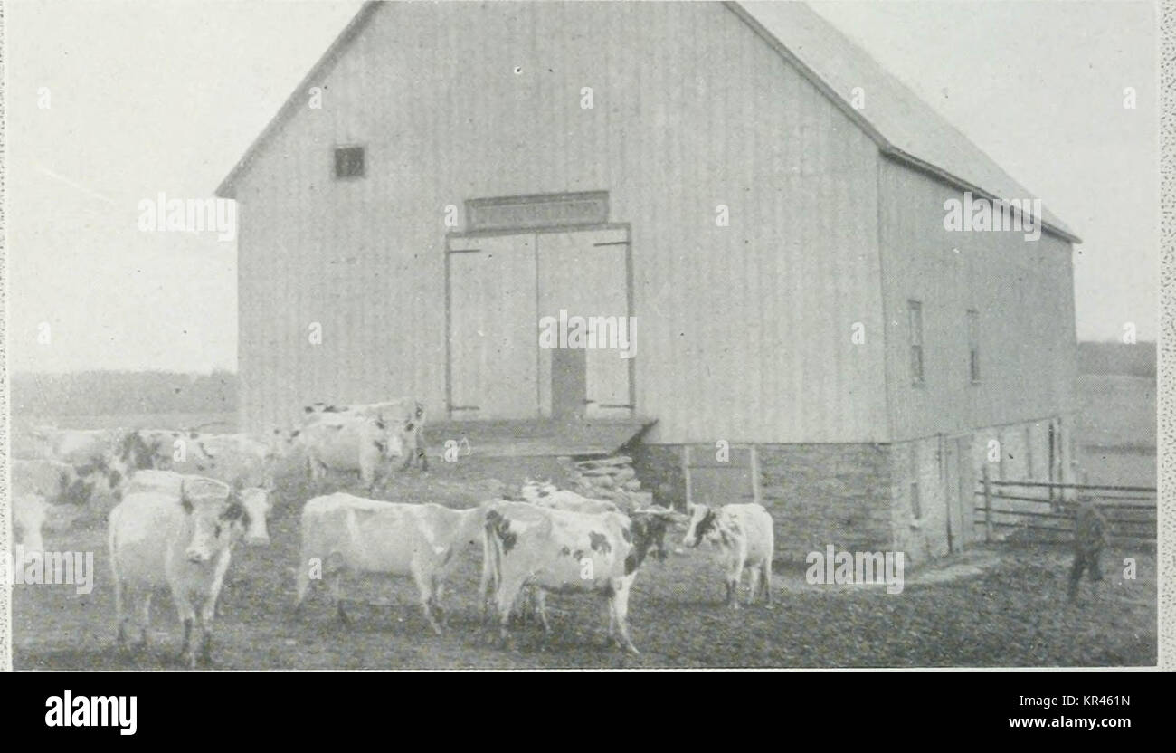 "Official history of the Cornwall Cheese and Butter Board" (1919 Stock ...