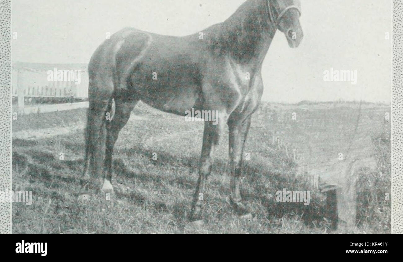 "Official history of the Cornwall Cheese and Butter Board" (1919 Stock ...