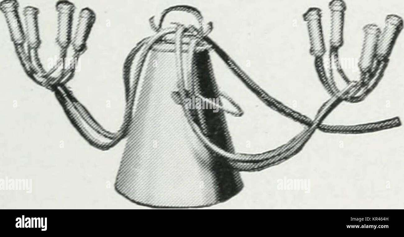 "Official history of the Cornwall Cheese and Butter Board" (1919 Stock ...