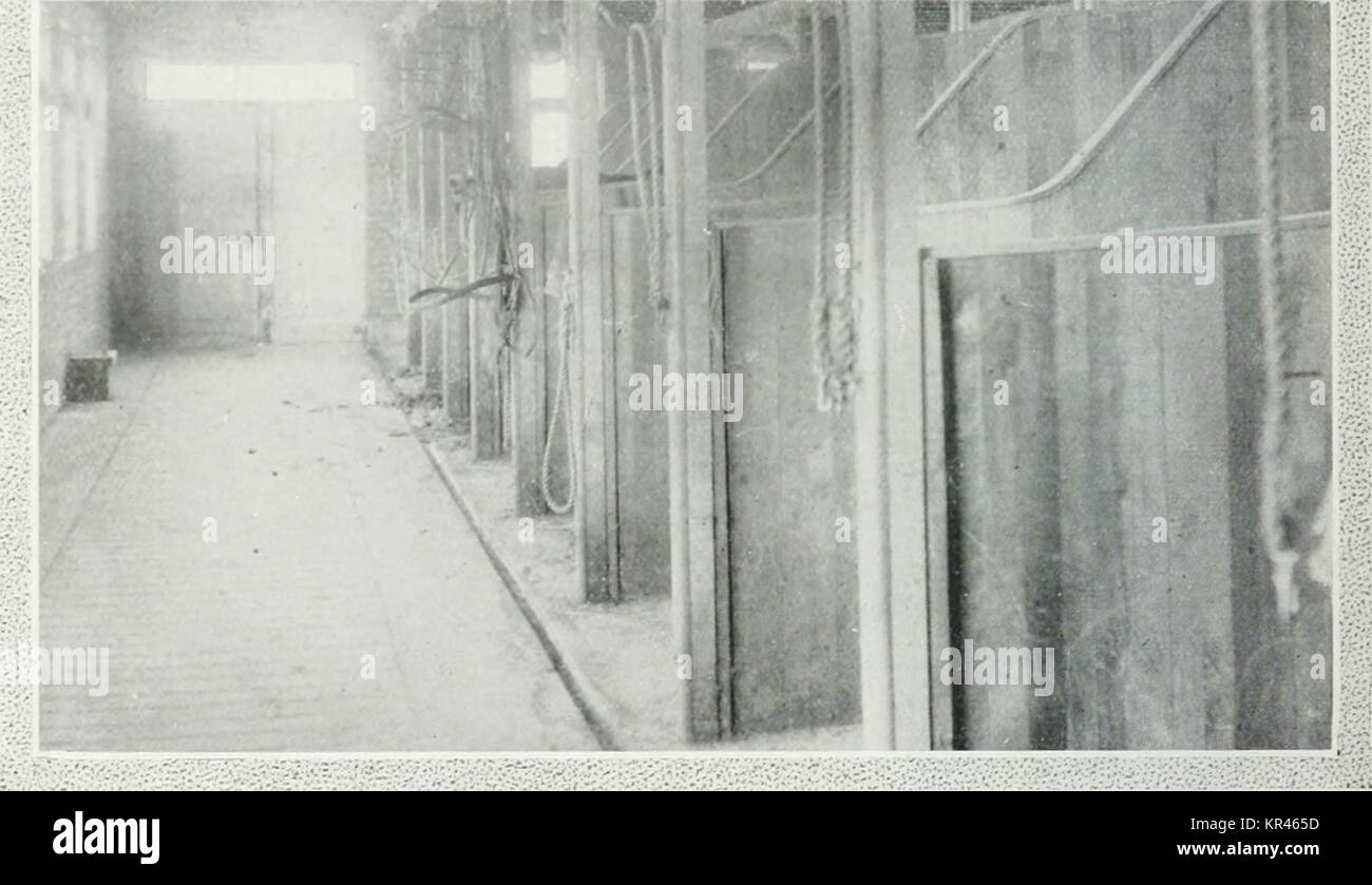 "Official history of the Cornwall Cheese and Butter Board" (1919 Stock ...