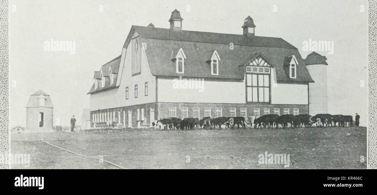 Official history cornwall cheese butter High Resolution Stock ...