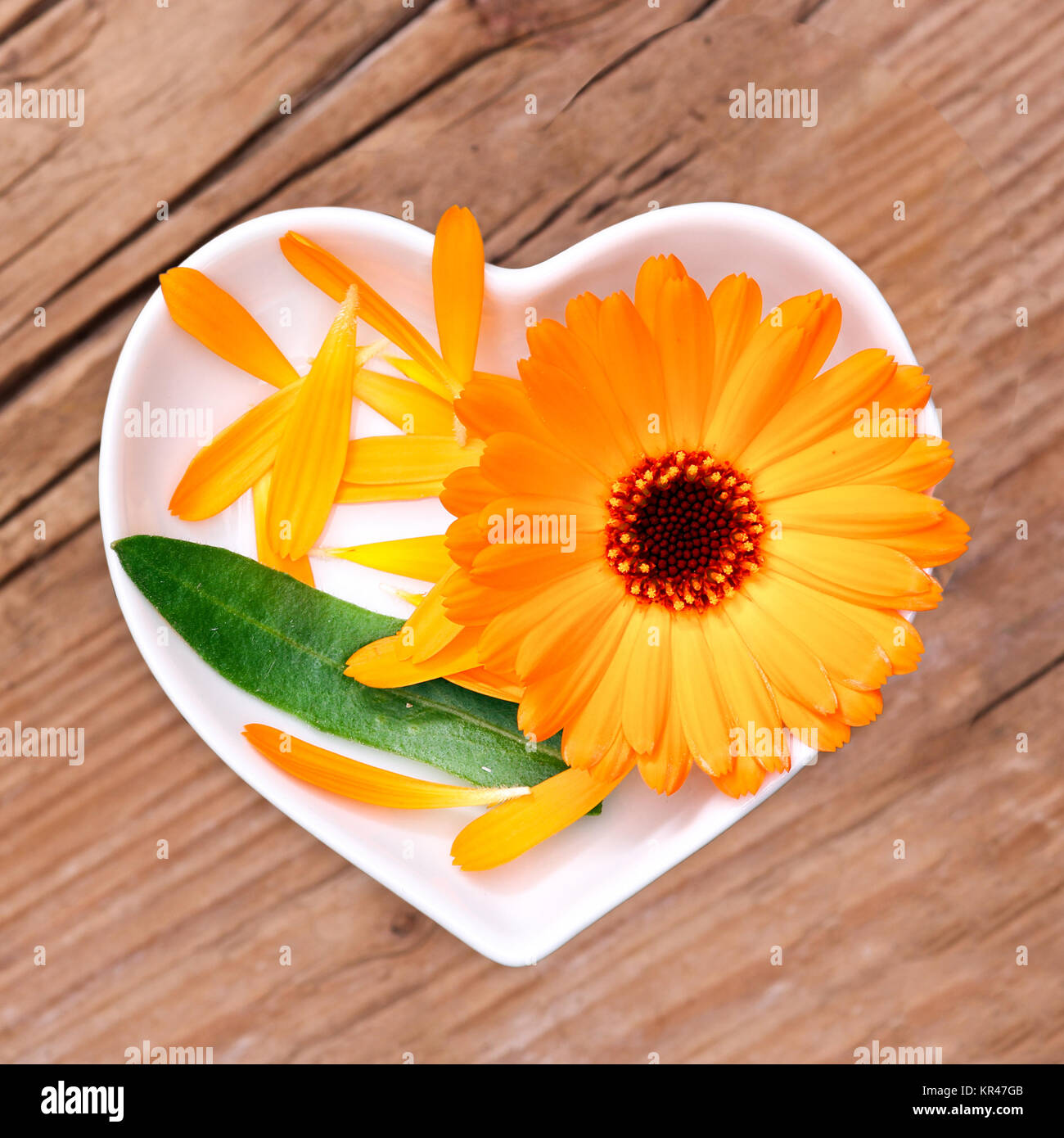 Marigold Collection High Resolution Stock Photography and Images - Alamy
