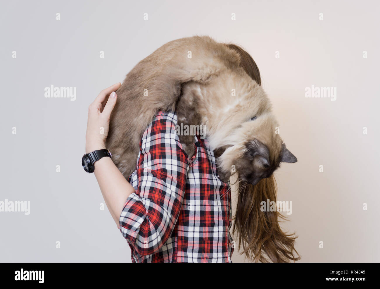 Cat woman home hi-res stock photography and images - Alamy