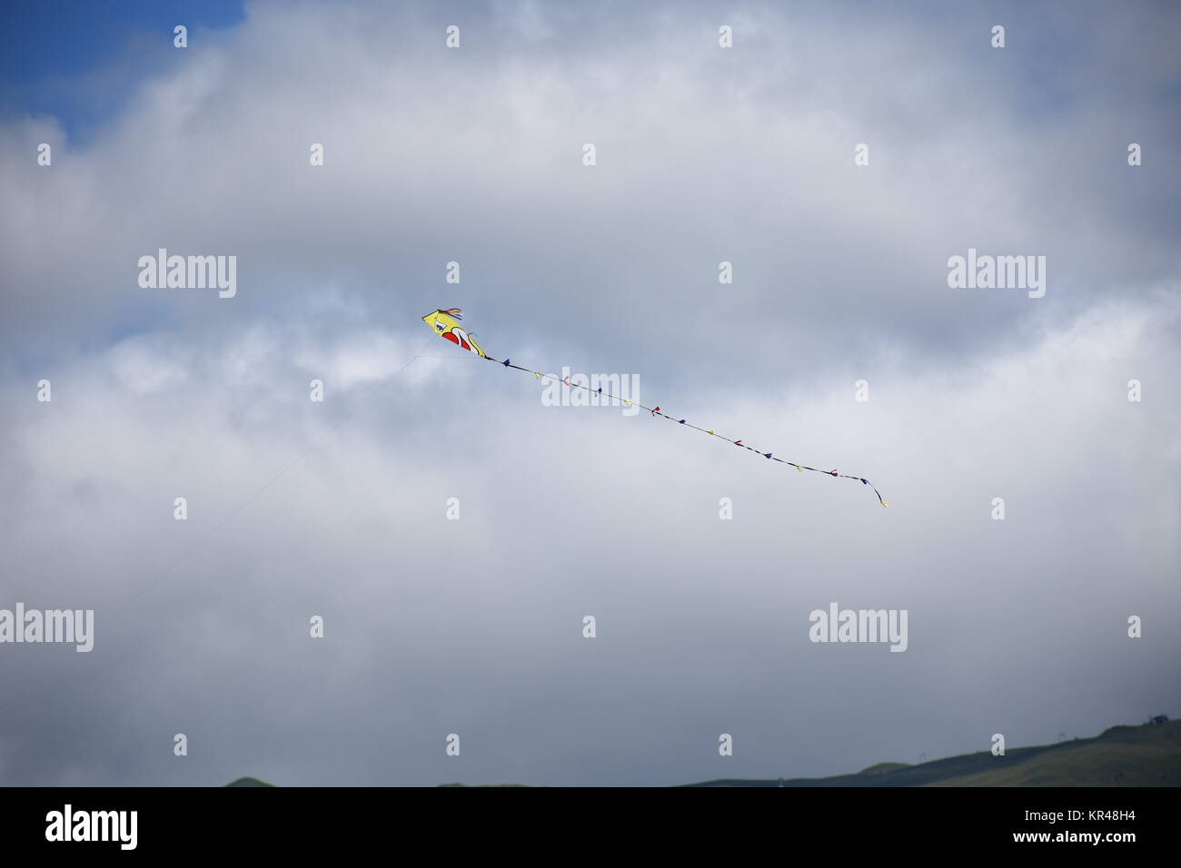 fly a kite Stock Photo - Alamy