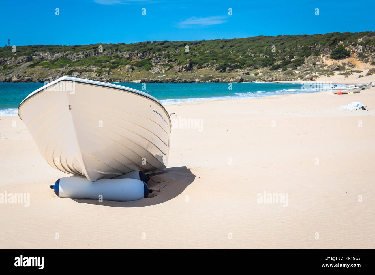 Bolonia medieval hi-res stock photography and images - Alamy