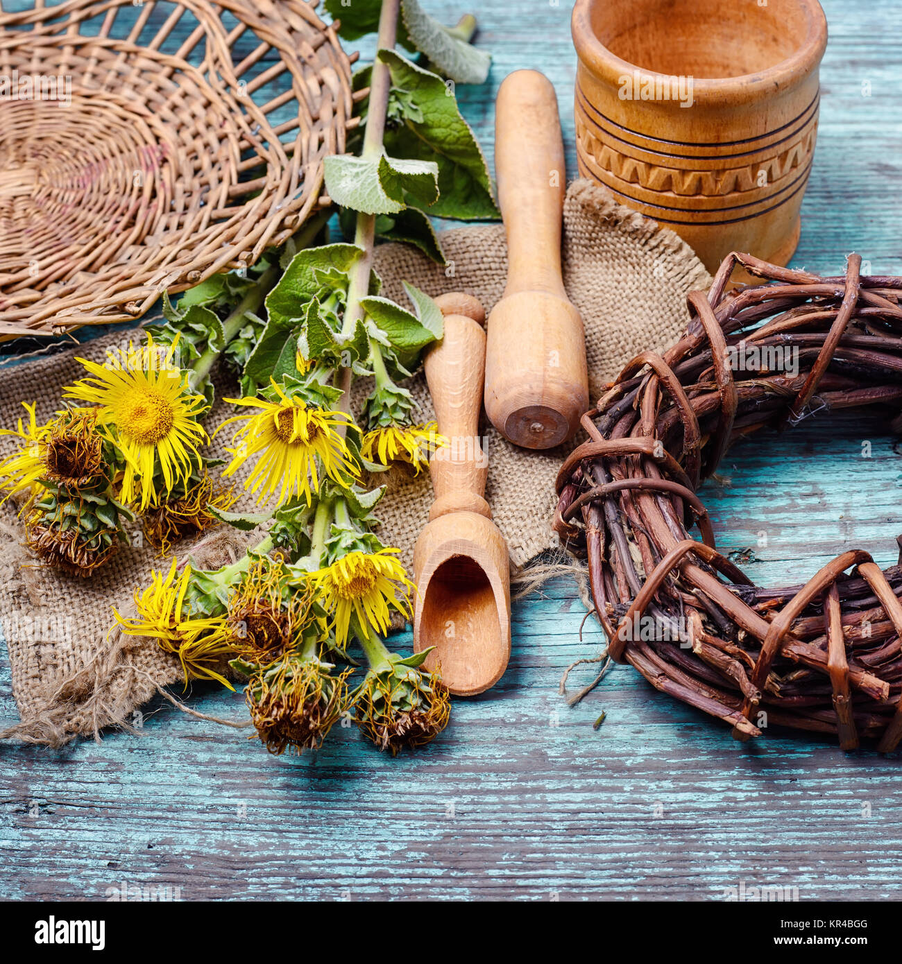 nard and herbs Stock Photo - Alamy
