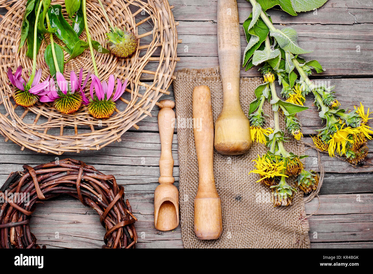 nard and herbs Stock Photo - Alamy