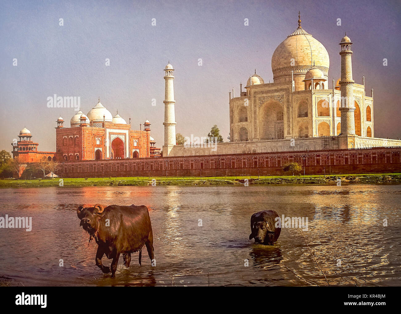 Taj Mahal and the river Stock Photo - Alamy