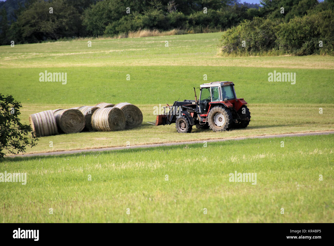 Hay bales on agricultural hi-res stock photography and images - Alamy