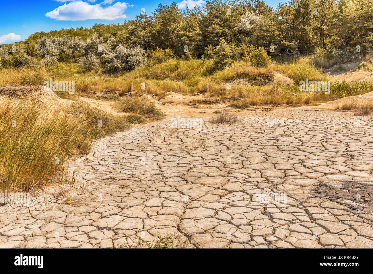 Fissured clay texture hi-res stock photography and images - Alamy