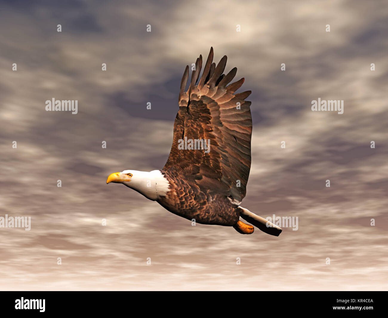 Claws flies hi-res stock photography and images - Alamy