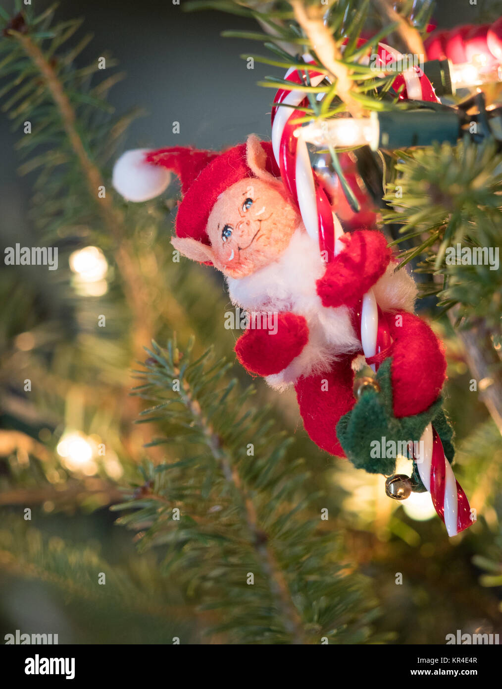 Felt elf ornament hanging in a Christmas tree while holding a candy ...