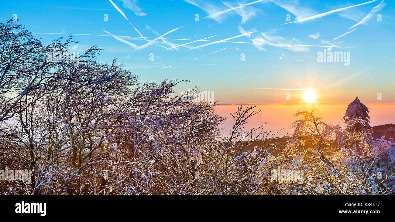 sunrise under the winter calm mountain landscape with beautiful fir ...