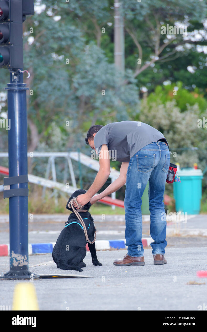 Train behaviour hi-res stock photography and images - Alamy