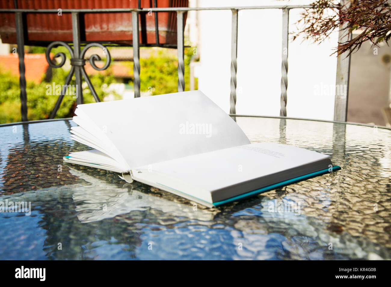 Open book outdoor Stock Photo - Alamy
