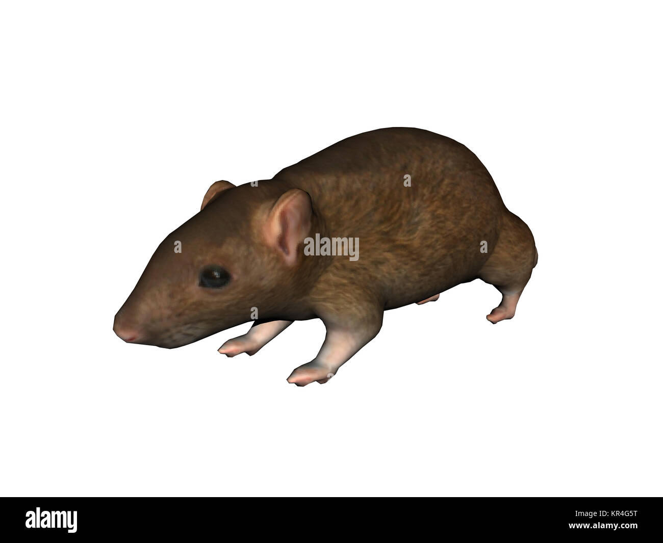 Field mouse unlocked Stock Photo - Alamy