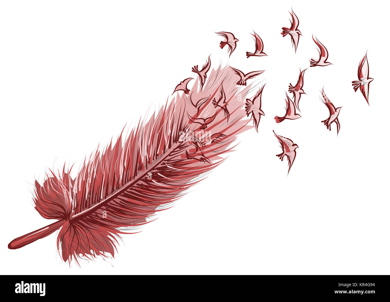 Feather bird background Stock Photo - Alamy