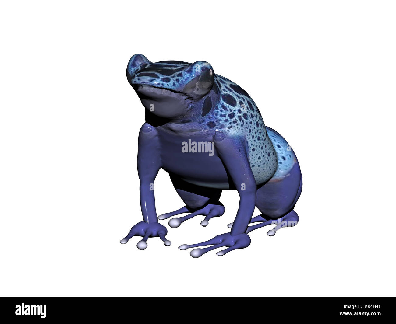 arrow poison frog released Stock Photo - Alamy
