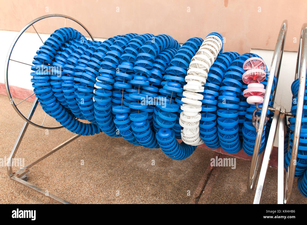 Swim Pool Lane Lines Stock Photo - Alamy