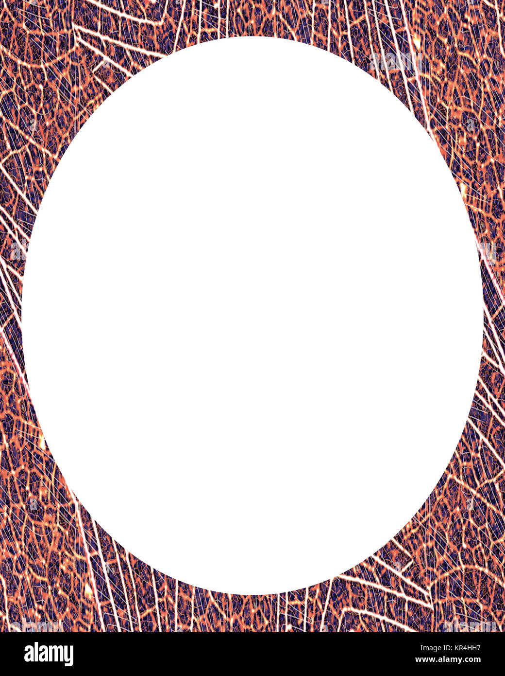 Circle White Background with Decorated Round Borders Stock Photo - Alamy