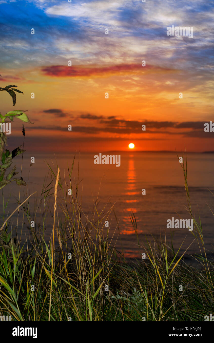 sunset over loop head with wild thistles Stock Photo - Alamy
