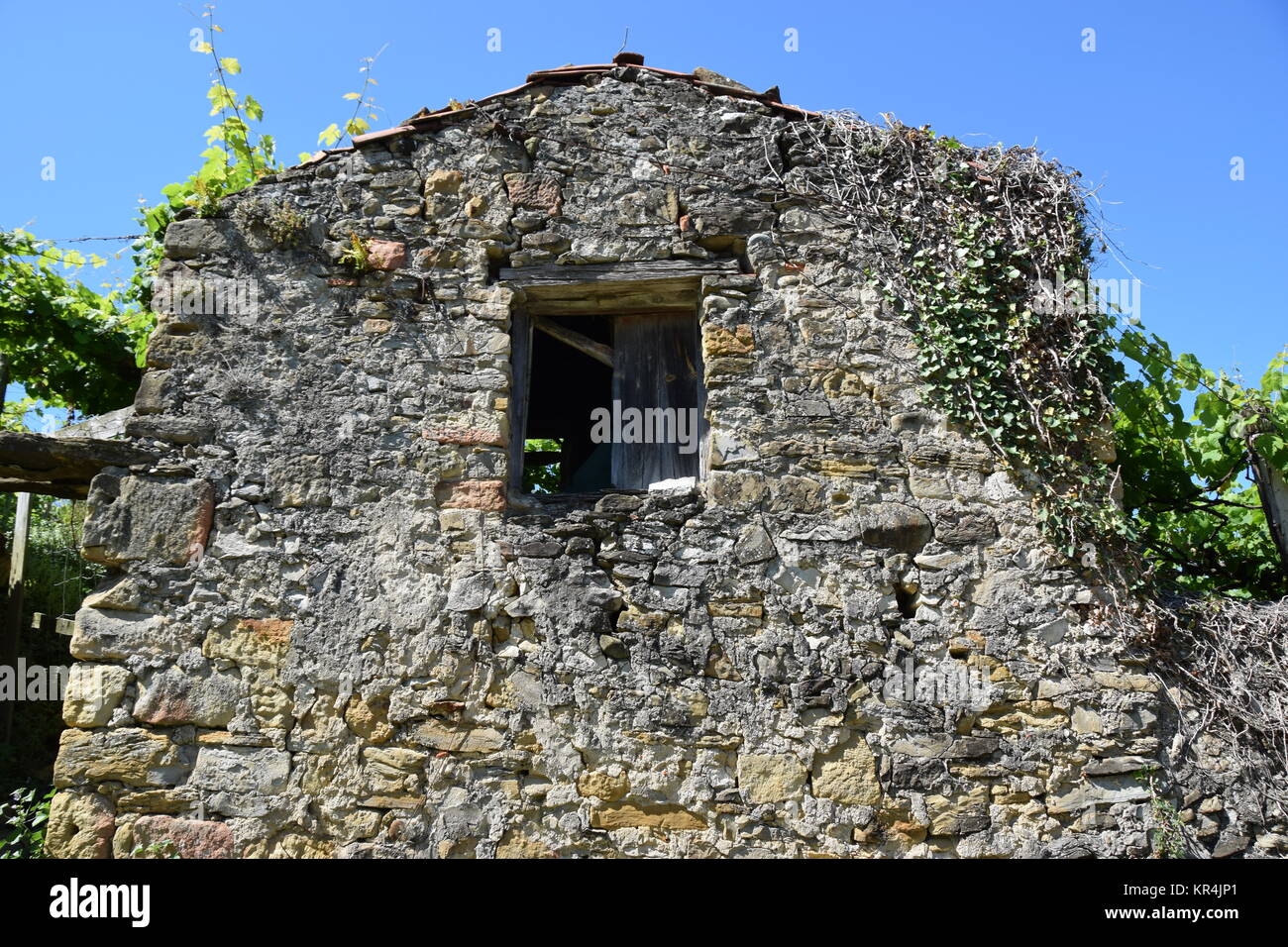 quarry stone house in a vineyard Stock Photo - Alamy