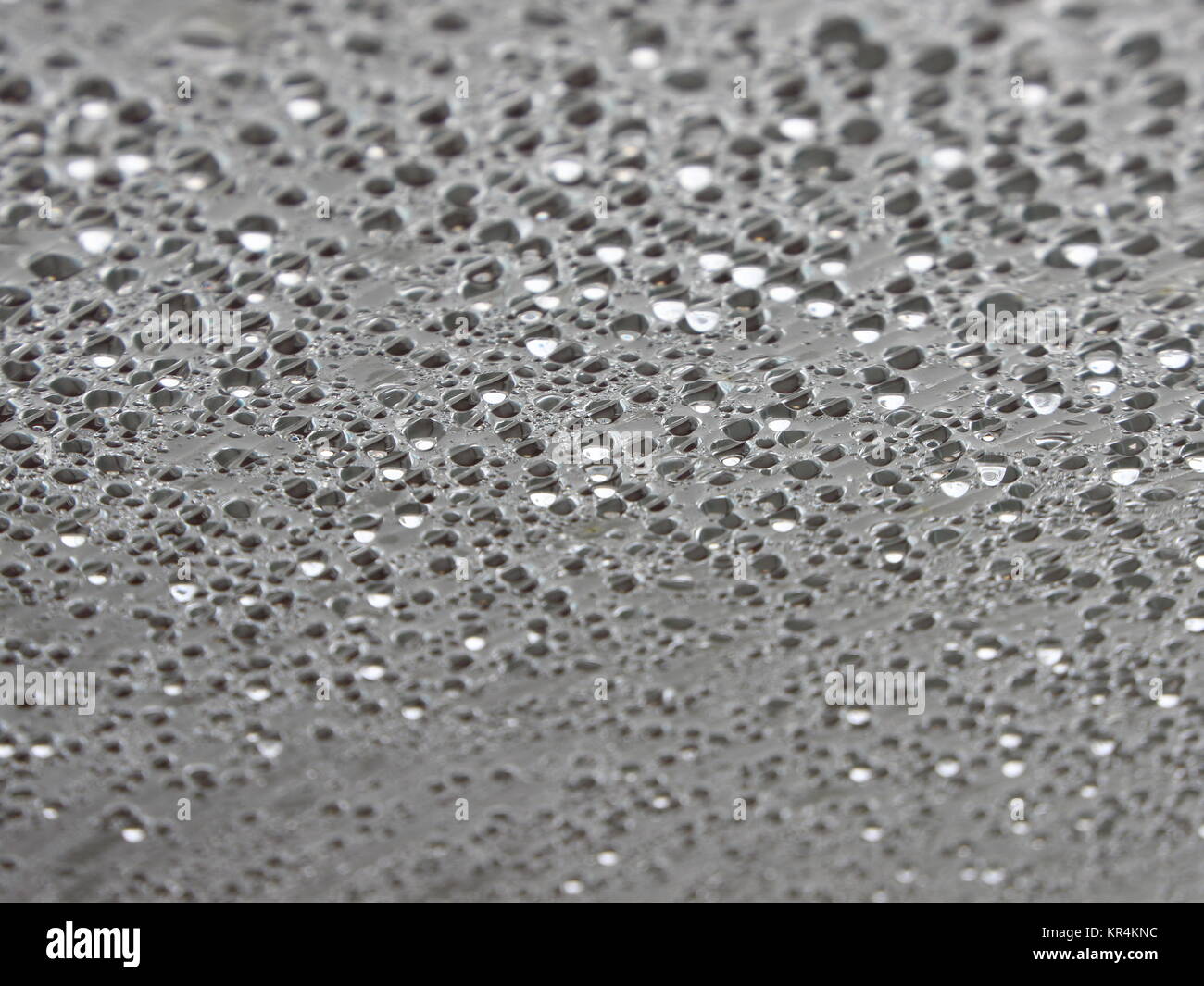 Water Condensation into Drops under Plastic Roof Stock Photo - Alamy