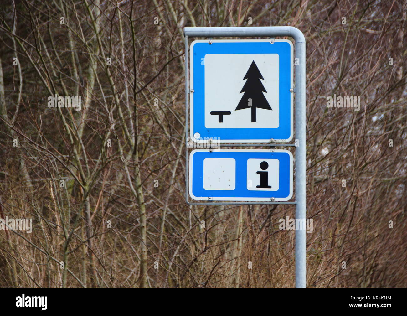 Rest Area Sign with Tree and Information Icon Stock Photo - Alamy