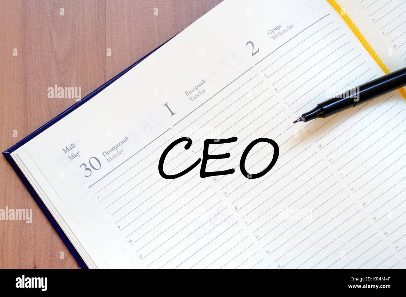 Ceo write on notebook Stock Photo - Alamy