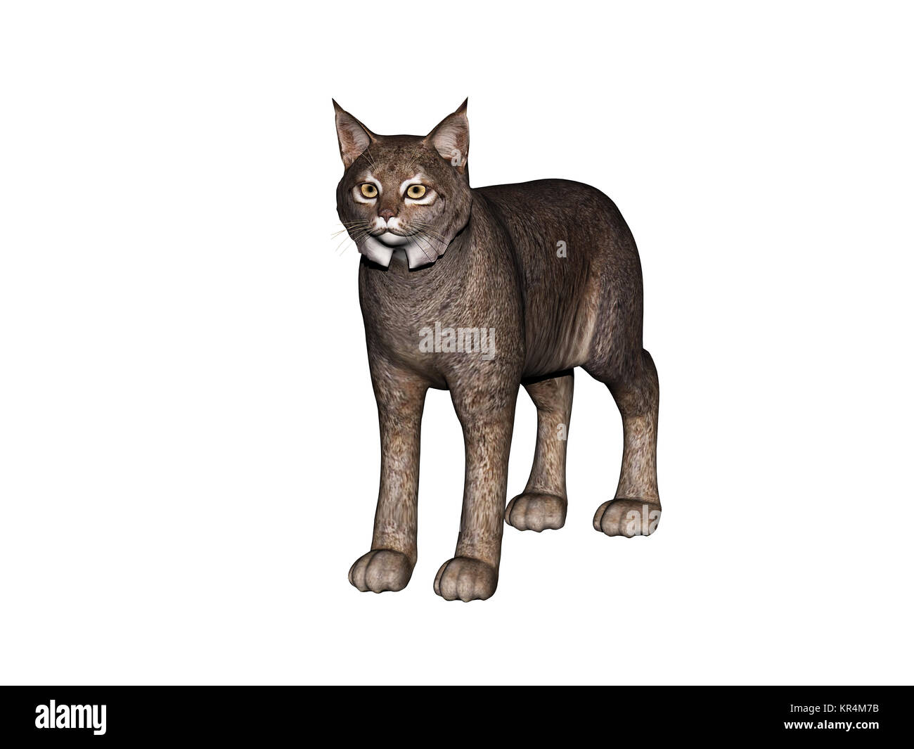 Silver lion hi-res stock photography and images - Alamy