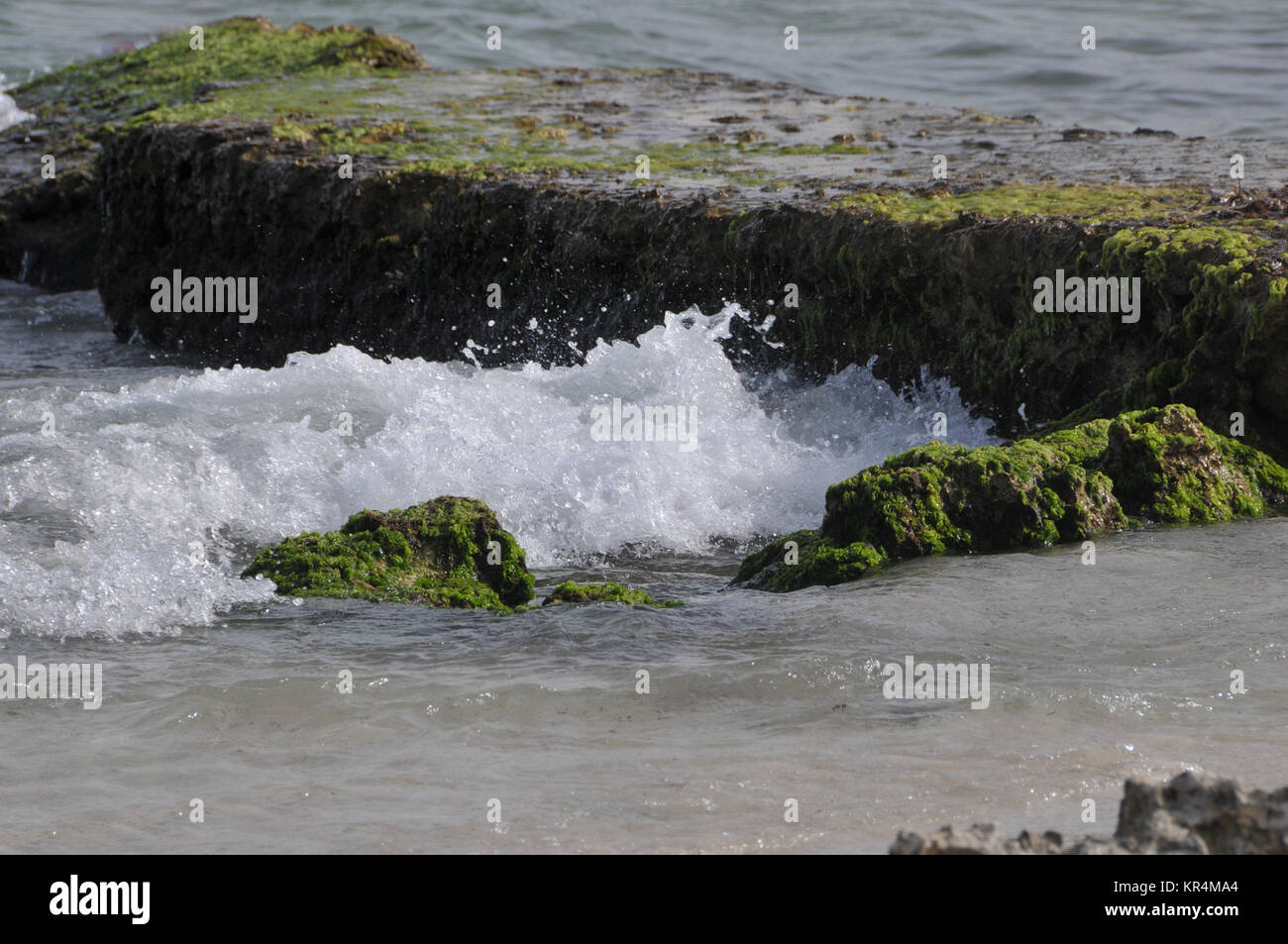 on the beach of punta prima in menorca Stock Photo - Alamy