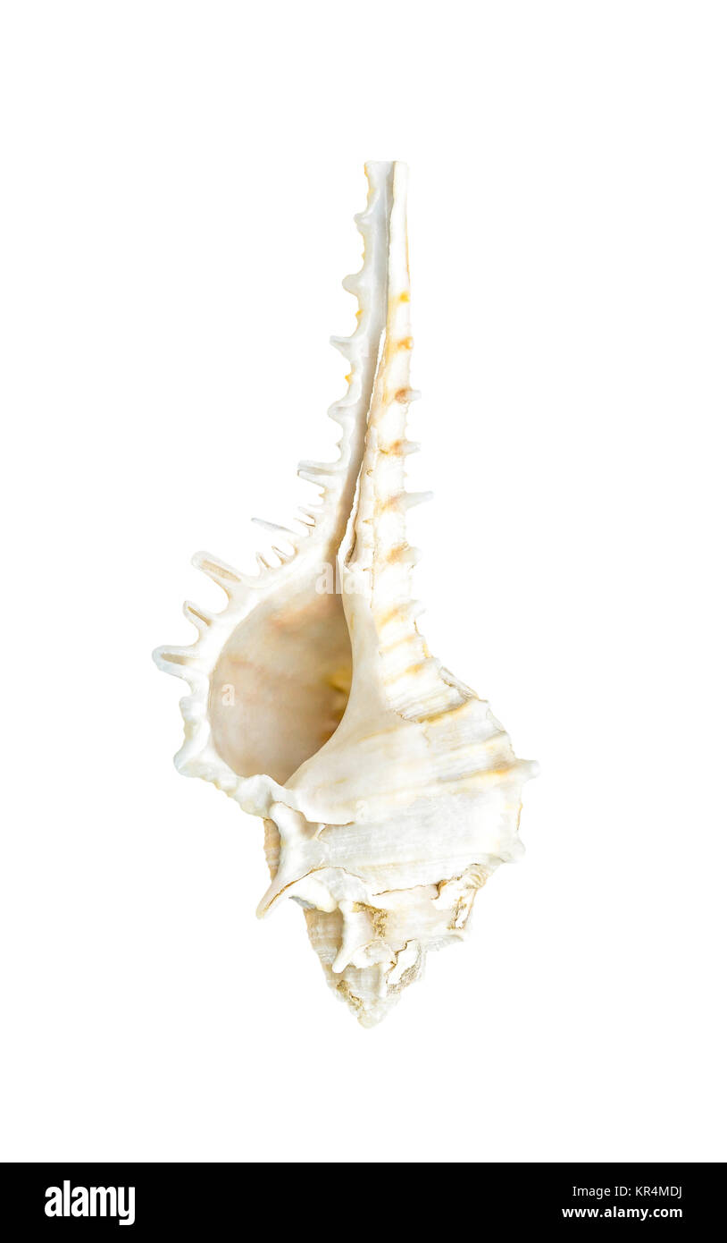 Seaside seafood Cut Out Stock Images & Pictures - Alamy