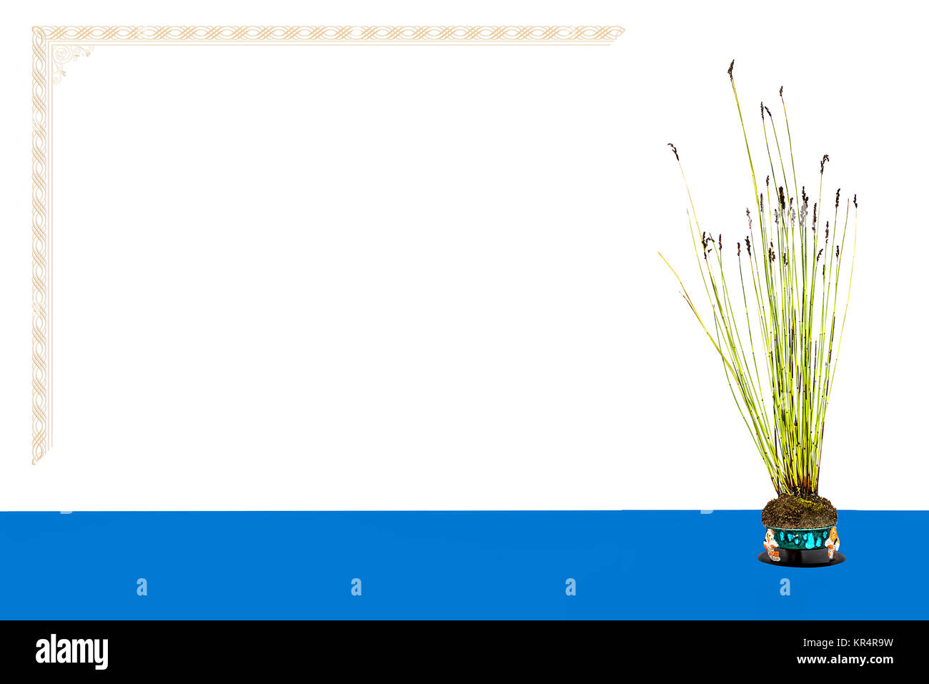 letter paper with plant zen on white background Stock Photo - Alamy