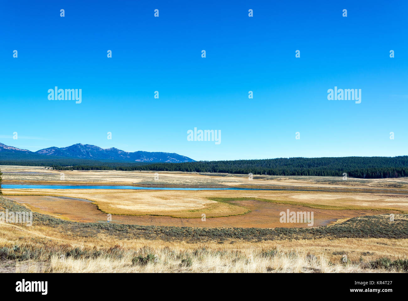 Wide Valley in Yellowstone Stock Photo - Alamy