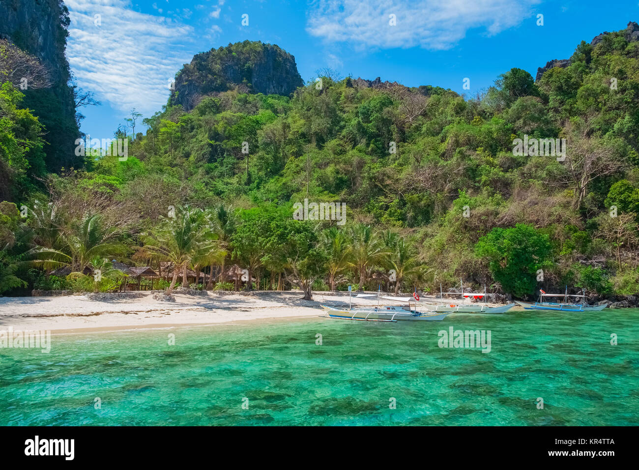View of tropical sandy beach, Palawan, Philippines Stock Photo - Alamy