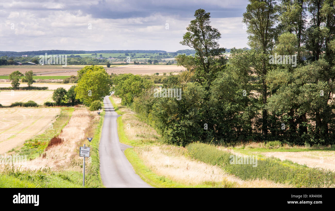 Country lane with passing place hi-res stock photography and images - Alamy