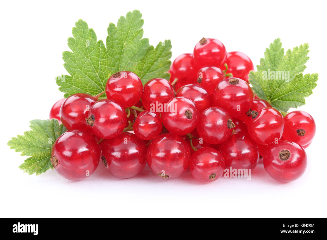 Rote Johannisbeeren Johannisbeere Früchte Beeren Obst Freisteller ...