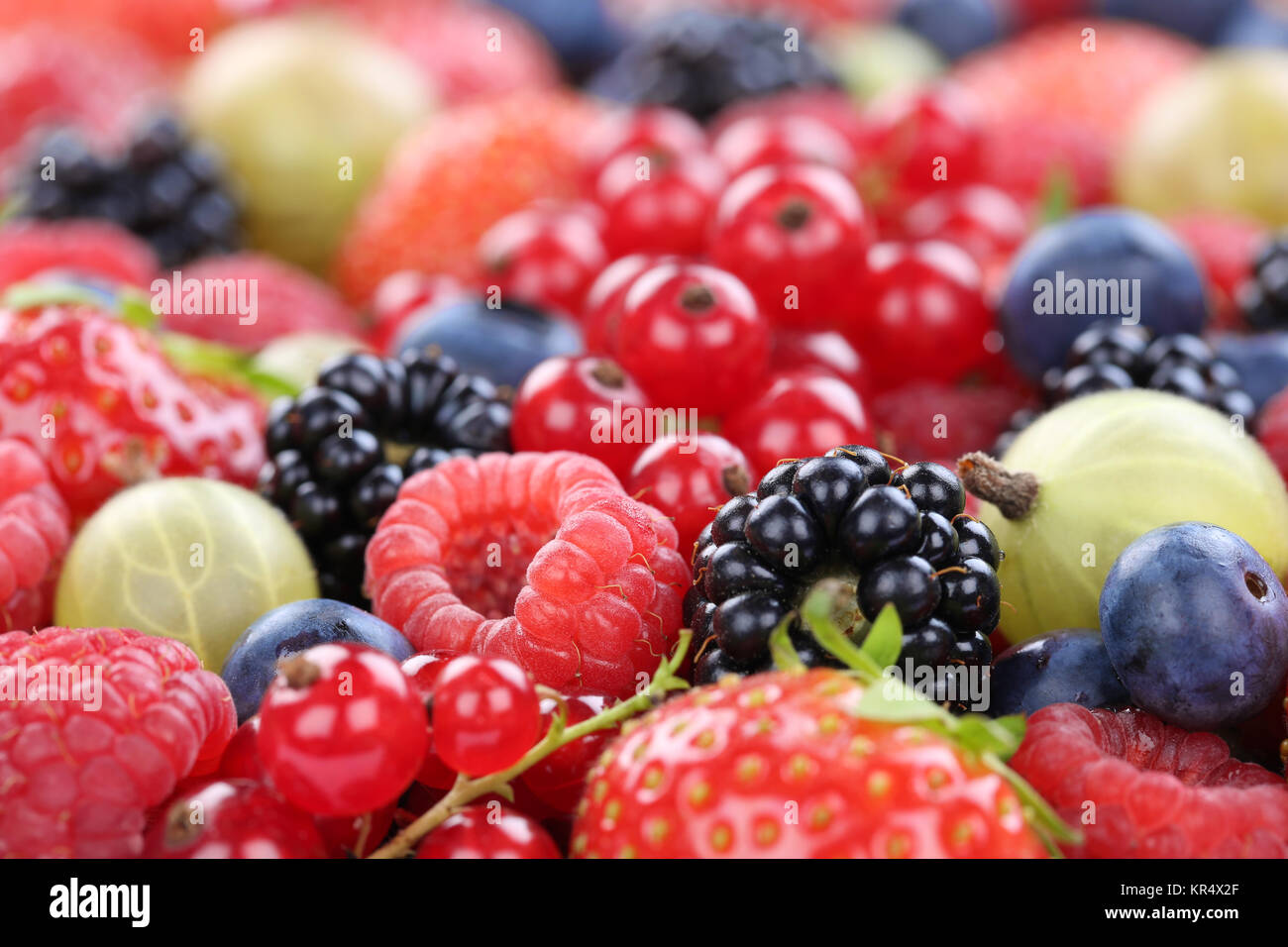 Beeren Früchte Erdbeeren Himbeeren Blaubeeren Johannisbeeren ...