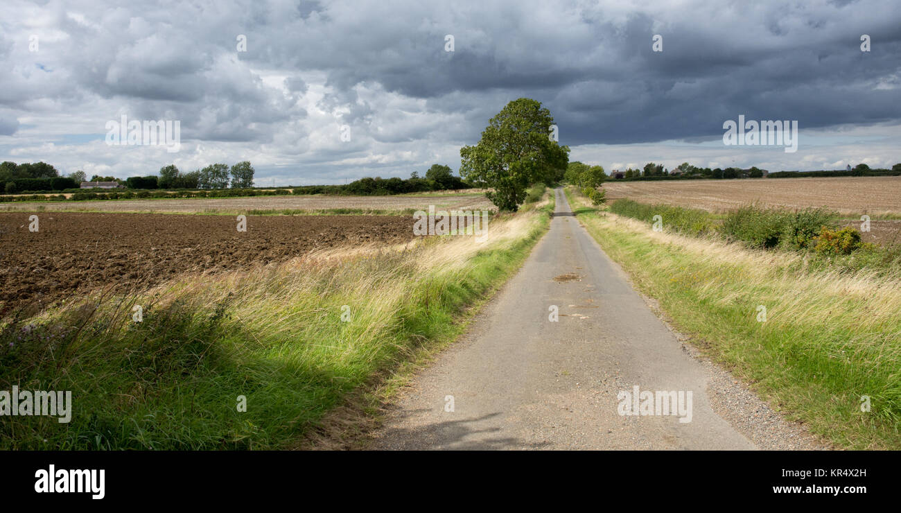 A narrow country lane runs through fields and farmland at Great Gidding ...