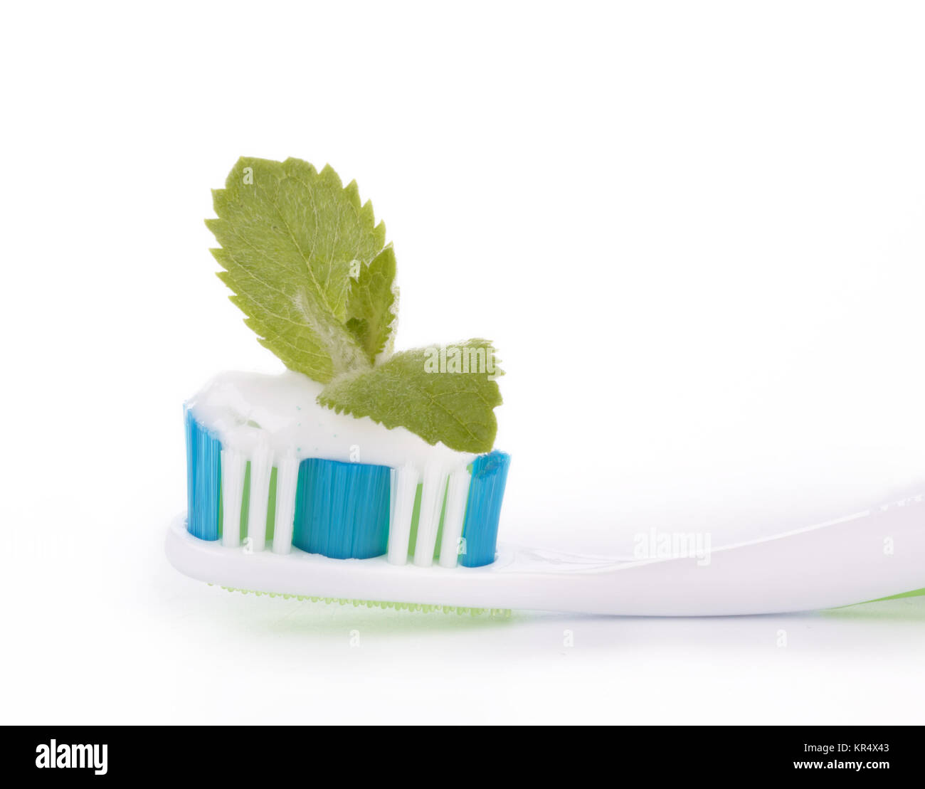 Toothbrush with toothpaste and fresh leaves of mint Stock Photo - Alamy
