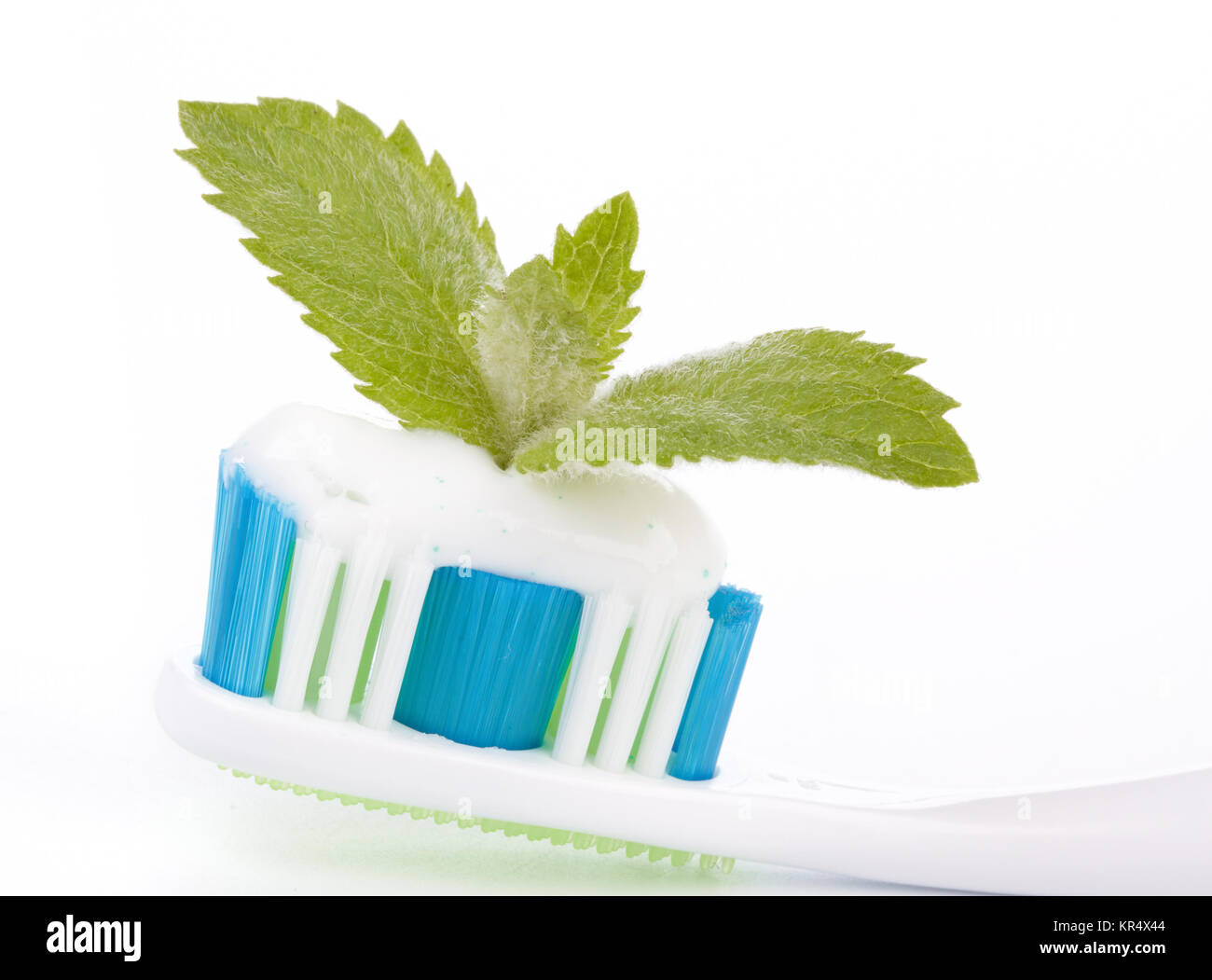 Toothbrush with toothpaste and fresh leaves of mint Stock Photo - Alamy